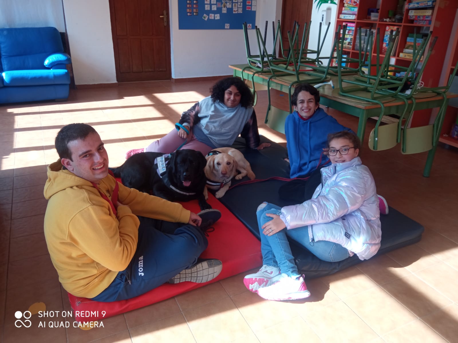 Comienzo de las sesiones de intervención asistida por perros Comienzo de las sesiones de intervención asistida por perros